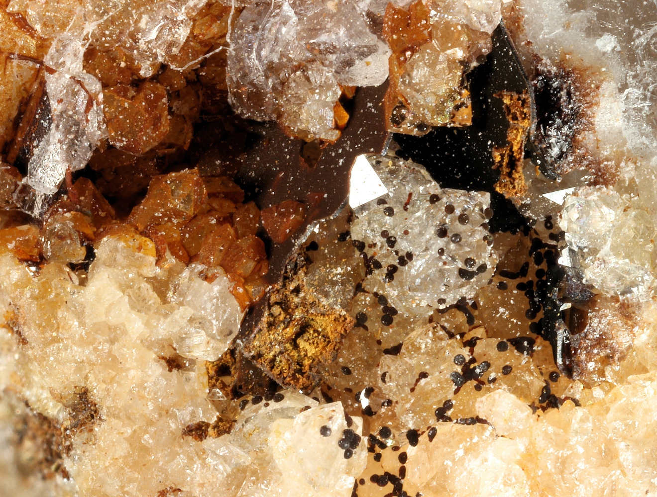 Photos : Incorrect ID