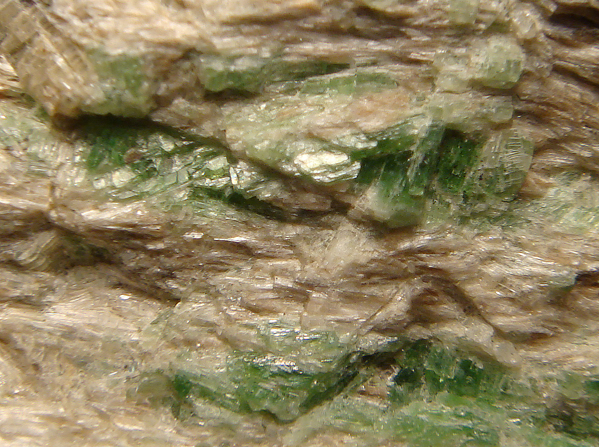 Actinolite (Var: Smaragdite)