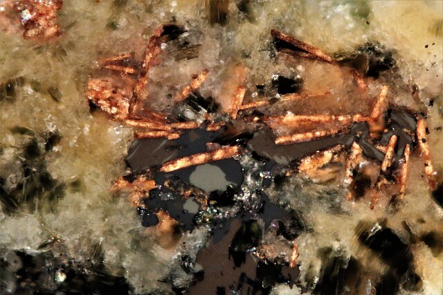 Leucoxene, Bornite, Chalcopyrite, Digenite