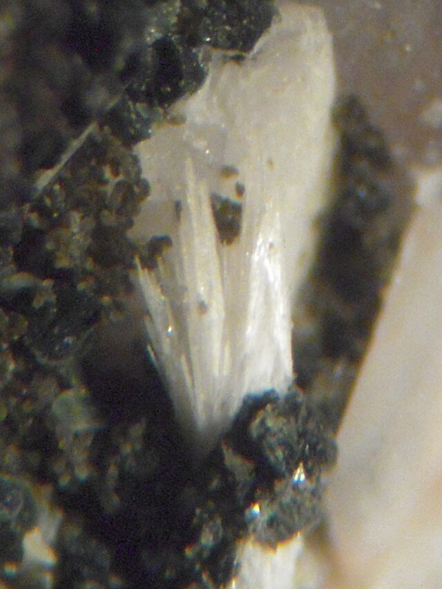 Thortveitite