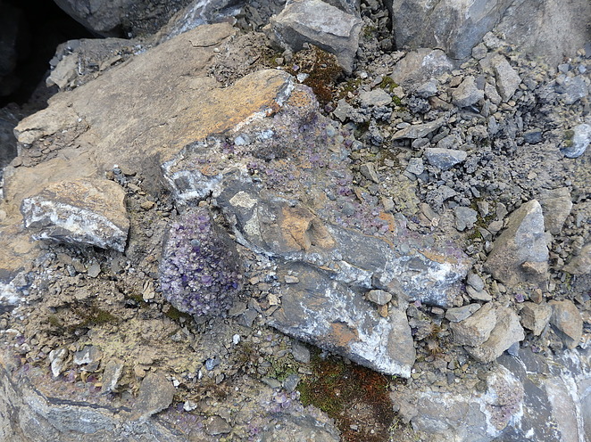 Newlandside Quarry, Stanhope, County Durham, England, UK