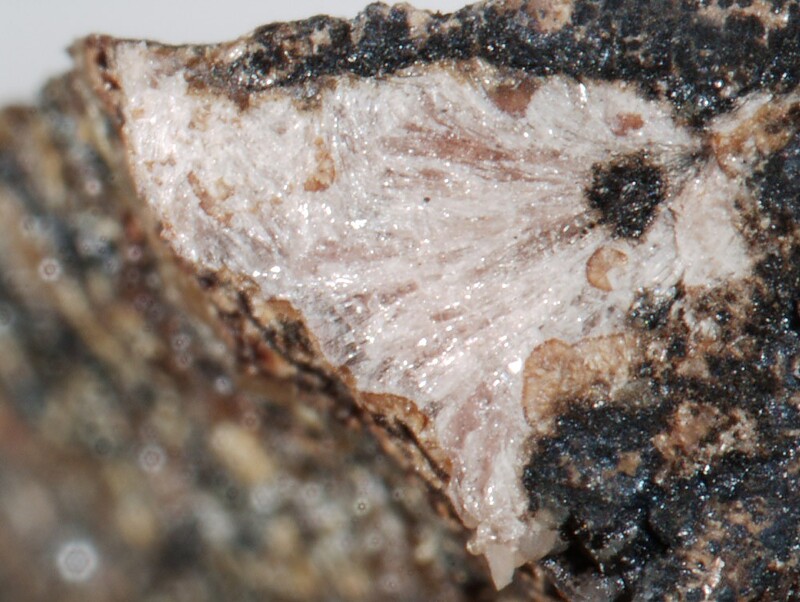 Sarkinite, Lead, Bementite, Hydrocerussite