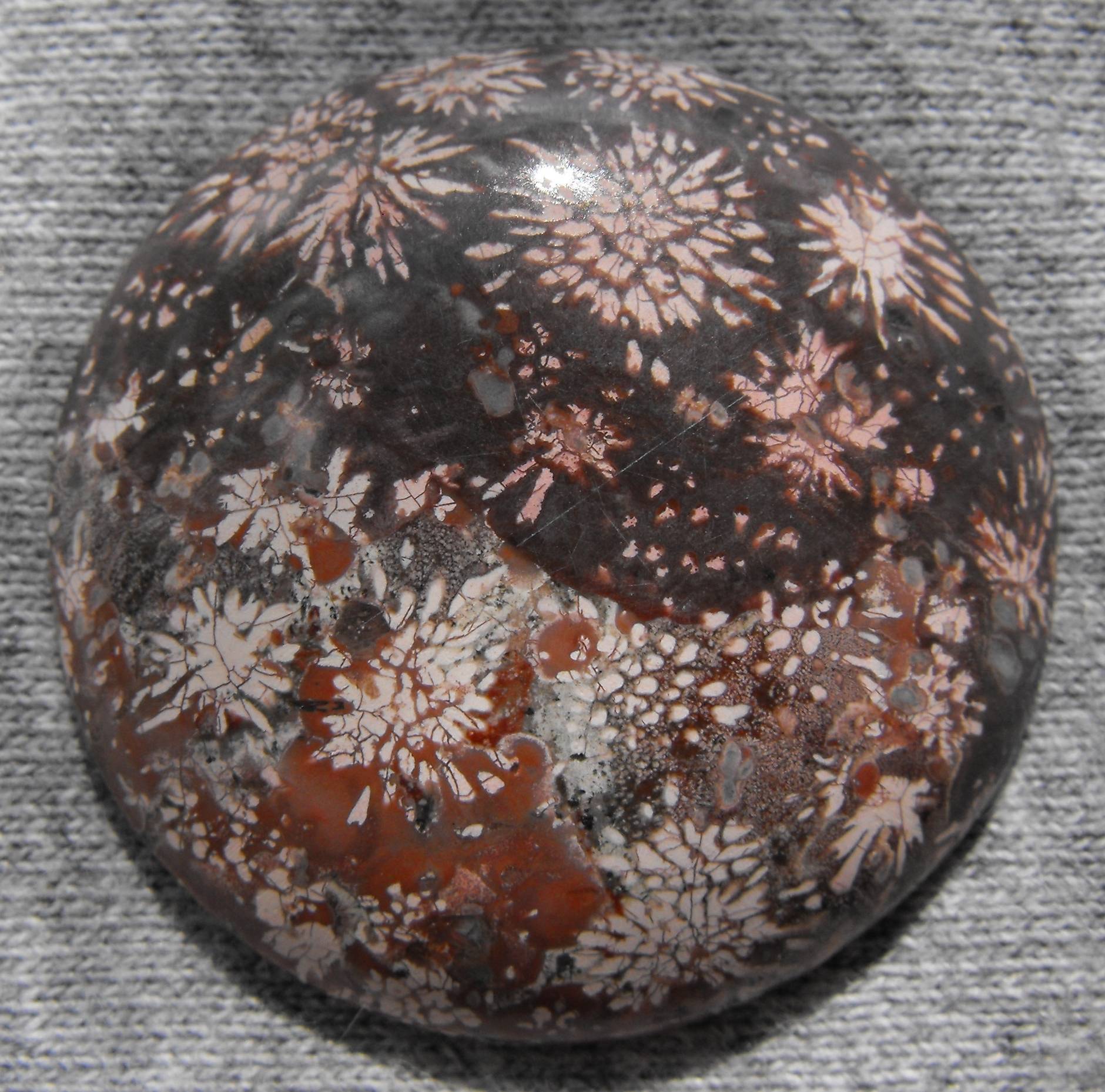 General : Starburst and or Spider Jasper