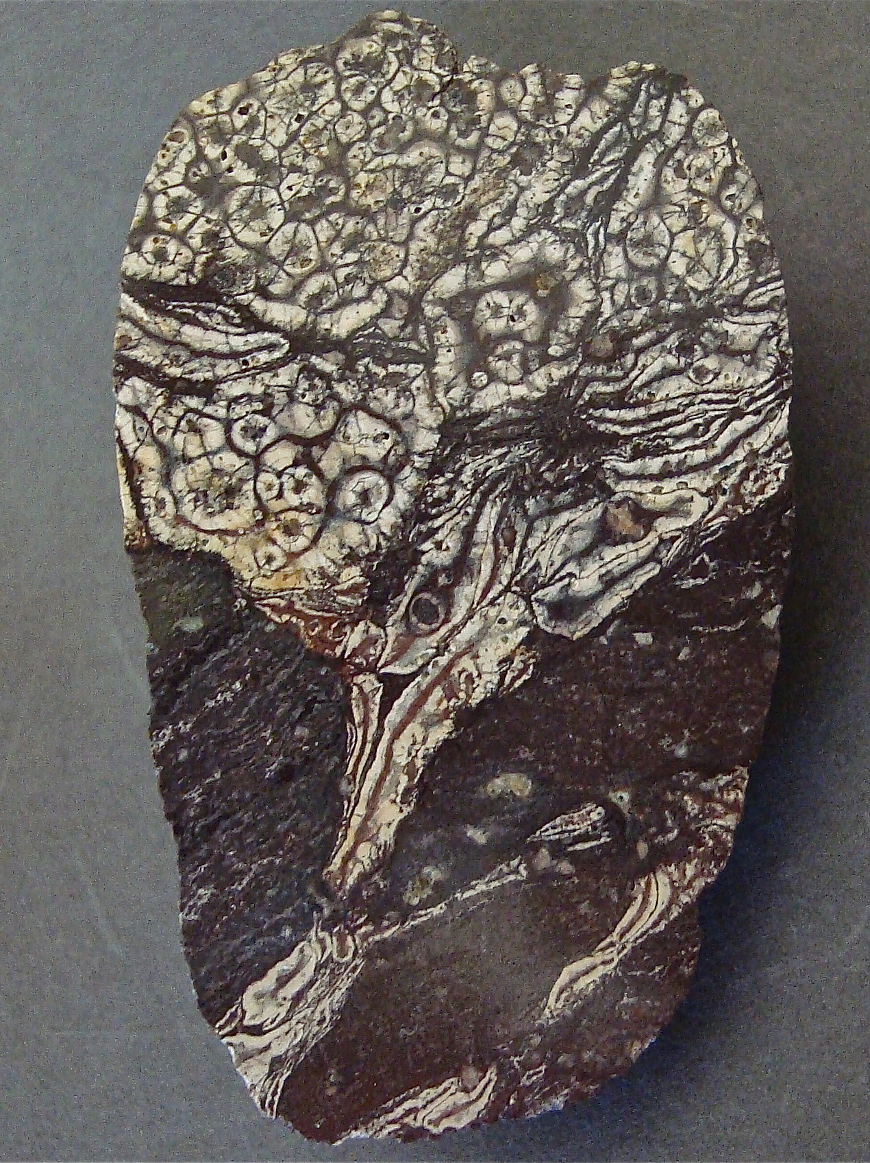 Lighthouse Point, Marblehead, Essex County, Massachusetts, USA