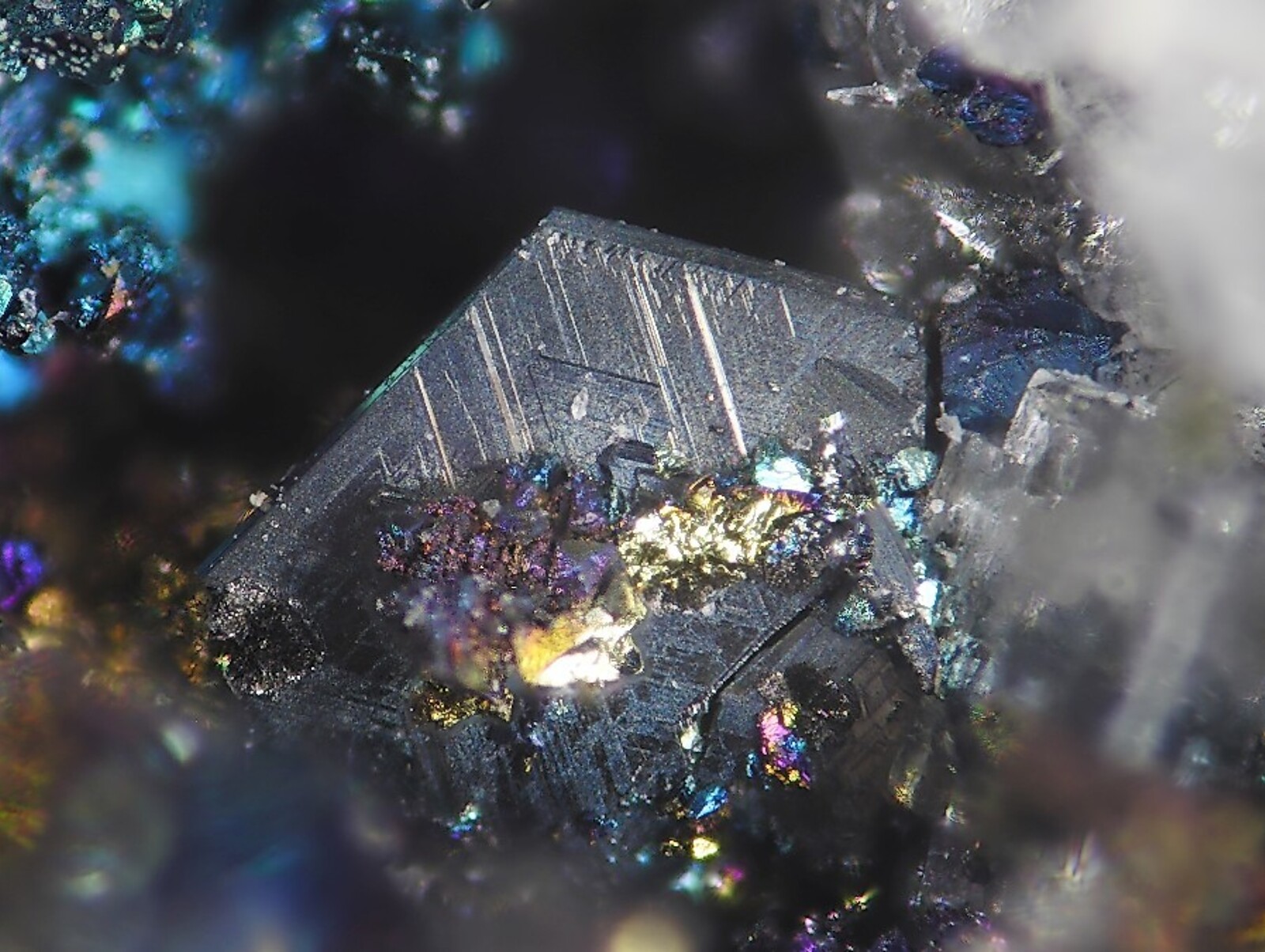 3cm wide. Canadian Museum of Nature specimen #CMNMC48444, Michael ...