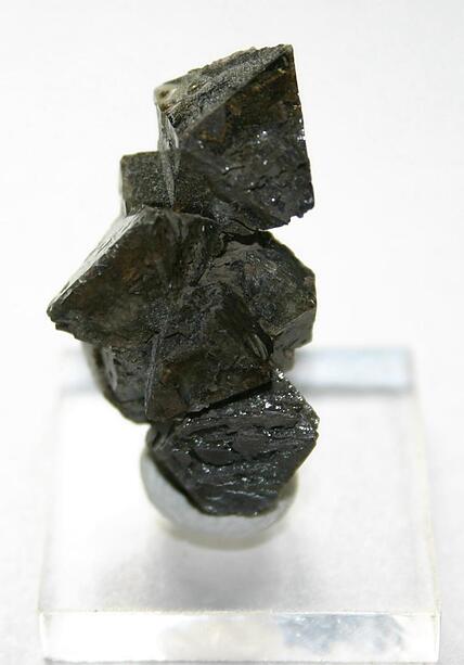 Mellite: Mineral information, data and localities.