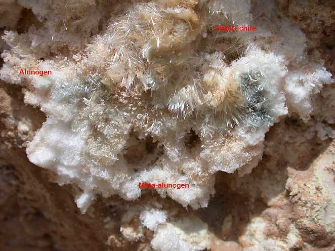 Lake Rotokawa, Wairakei, Taupo District, Waikato Region, New Zealand