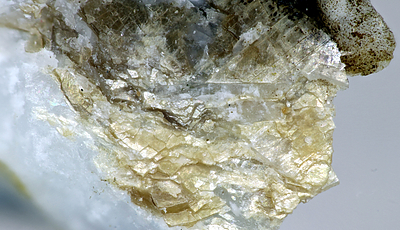 07211610017362730476263.jpg?cachekick=1