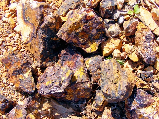 Alabaster chert pit, Alabaster, Shelby County, Alabama, USA
