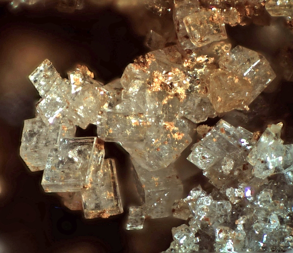 Pima County, Arizona, USA