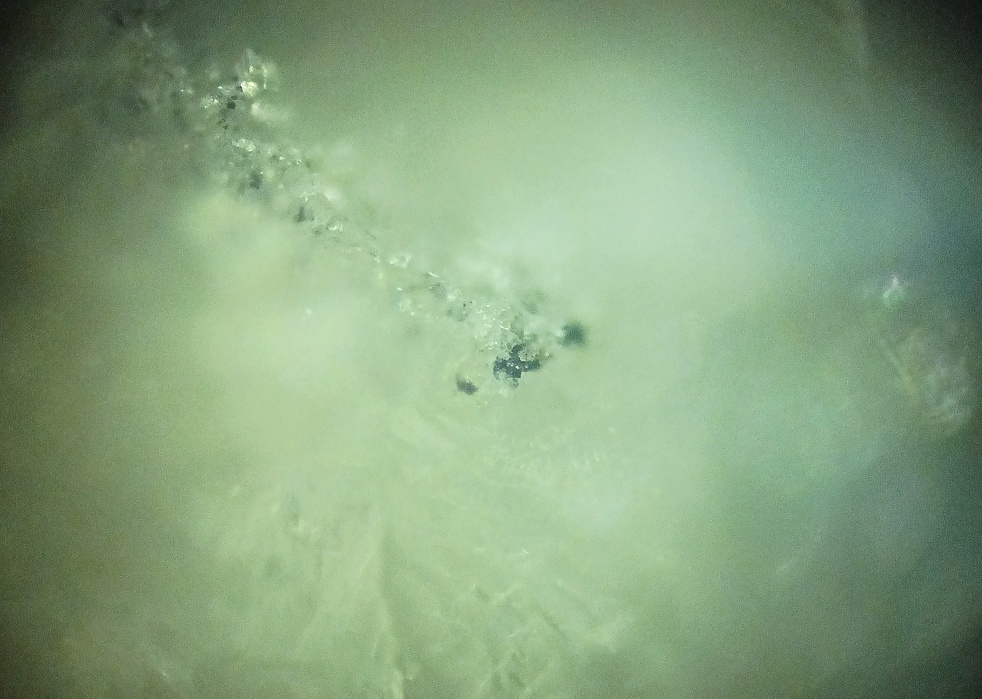 Staßfurt potash deposit, Saxony-Anhalt, Germany