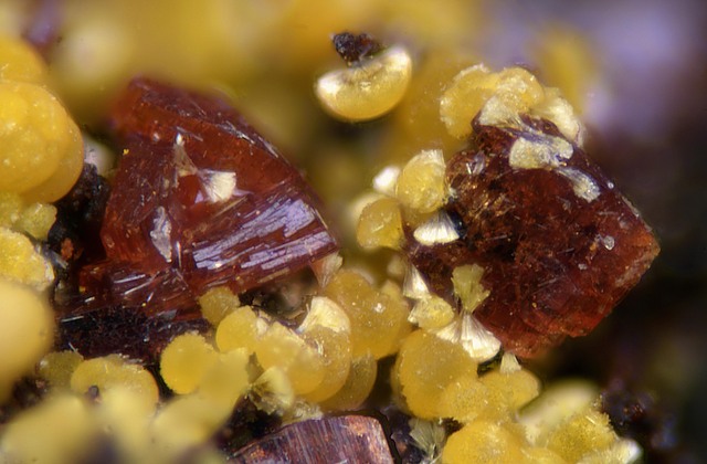 Beraunite, Cacoxenite