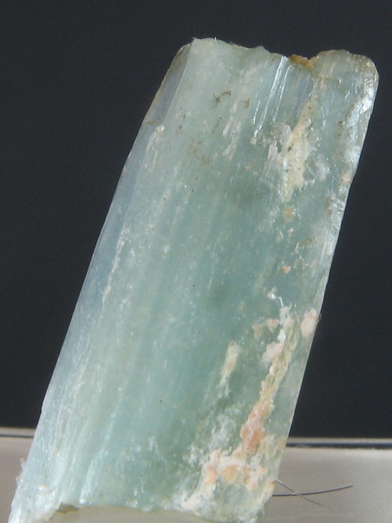 Serpentine Subgroup (Var: Picrolite)