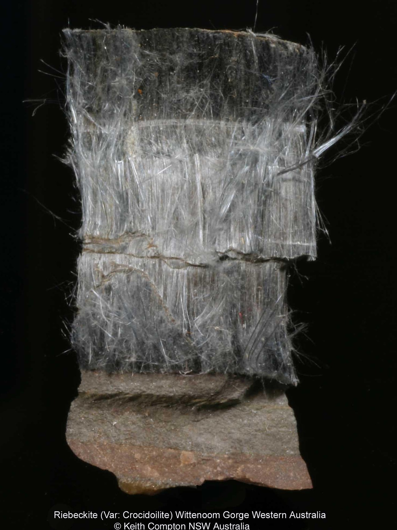 © 2009 Peter Cristofono