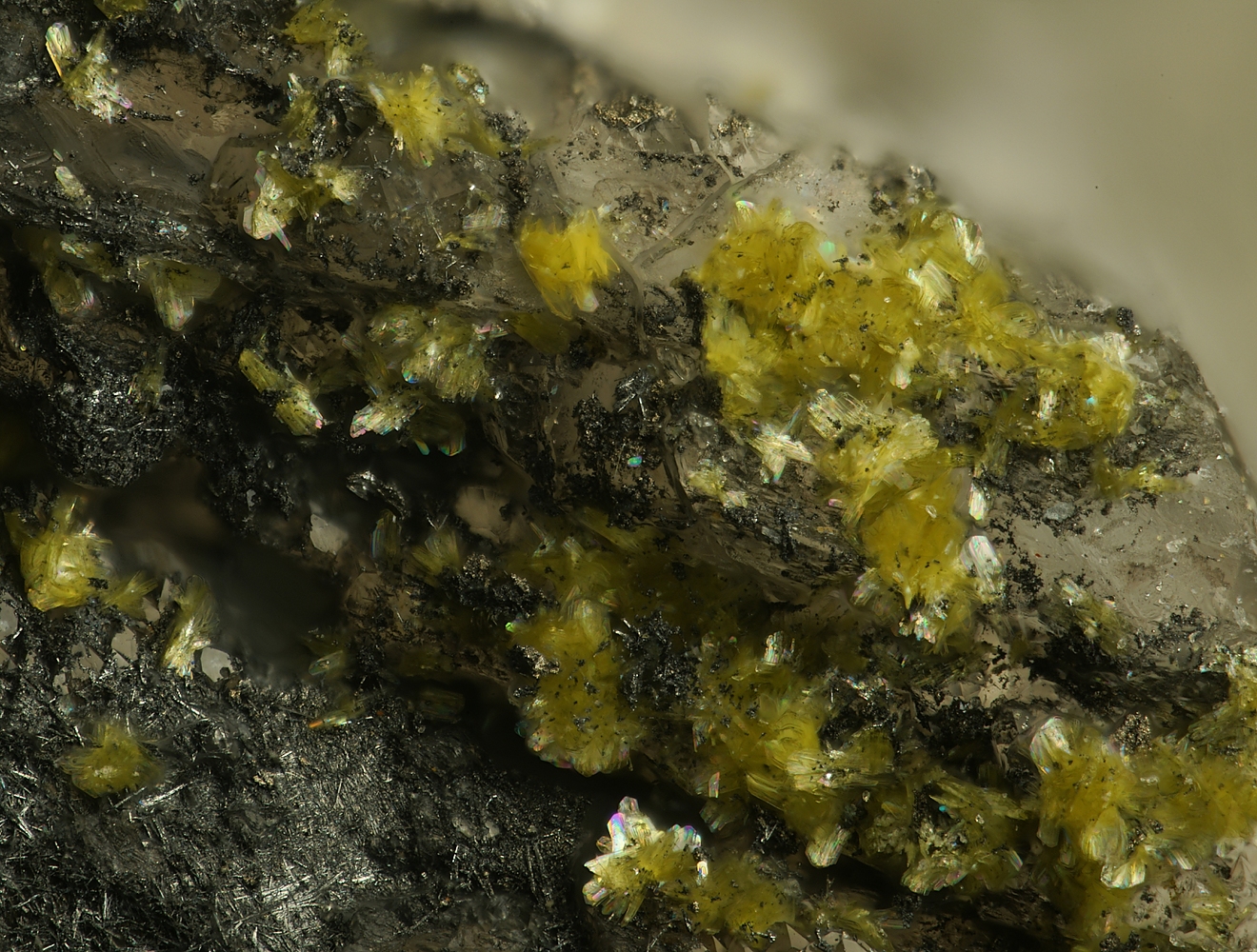 Alcantarillaite: Mineral information, data and localities.