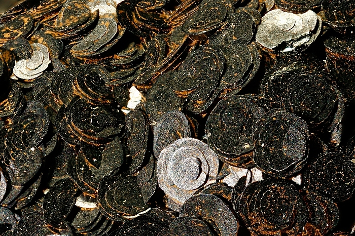 Cronstedtite: Mineral information, data and localities.