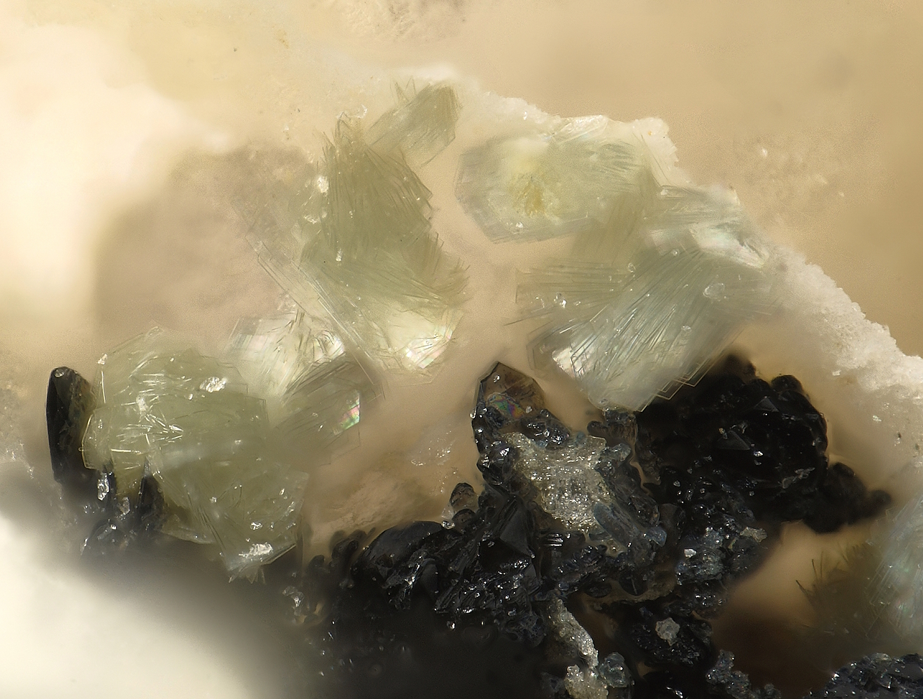 Ferraioloite: Mineral information, data and localities.