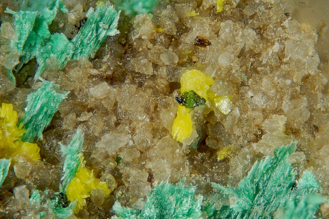 Tangeite, Tyuyamunite, Malachite, Sandstone