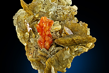 Mineralogical Classification : Polymorphism vs. Polytypism