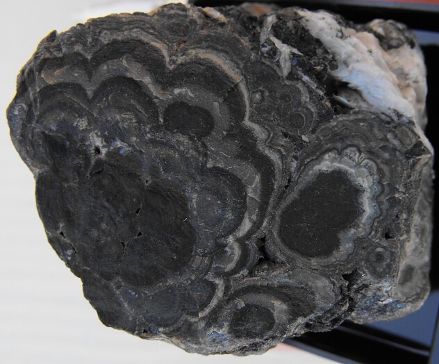 Tombstone Mining District, Cochise County, Arizona, USA