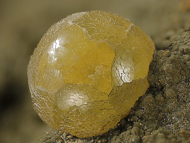 Colorless hexagonal needles of Erionite-K in a small vug. Collection ...