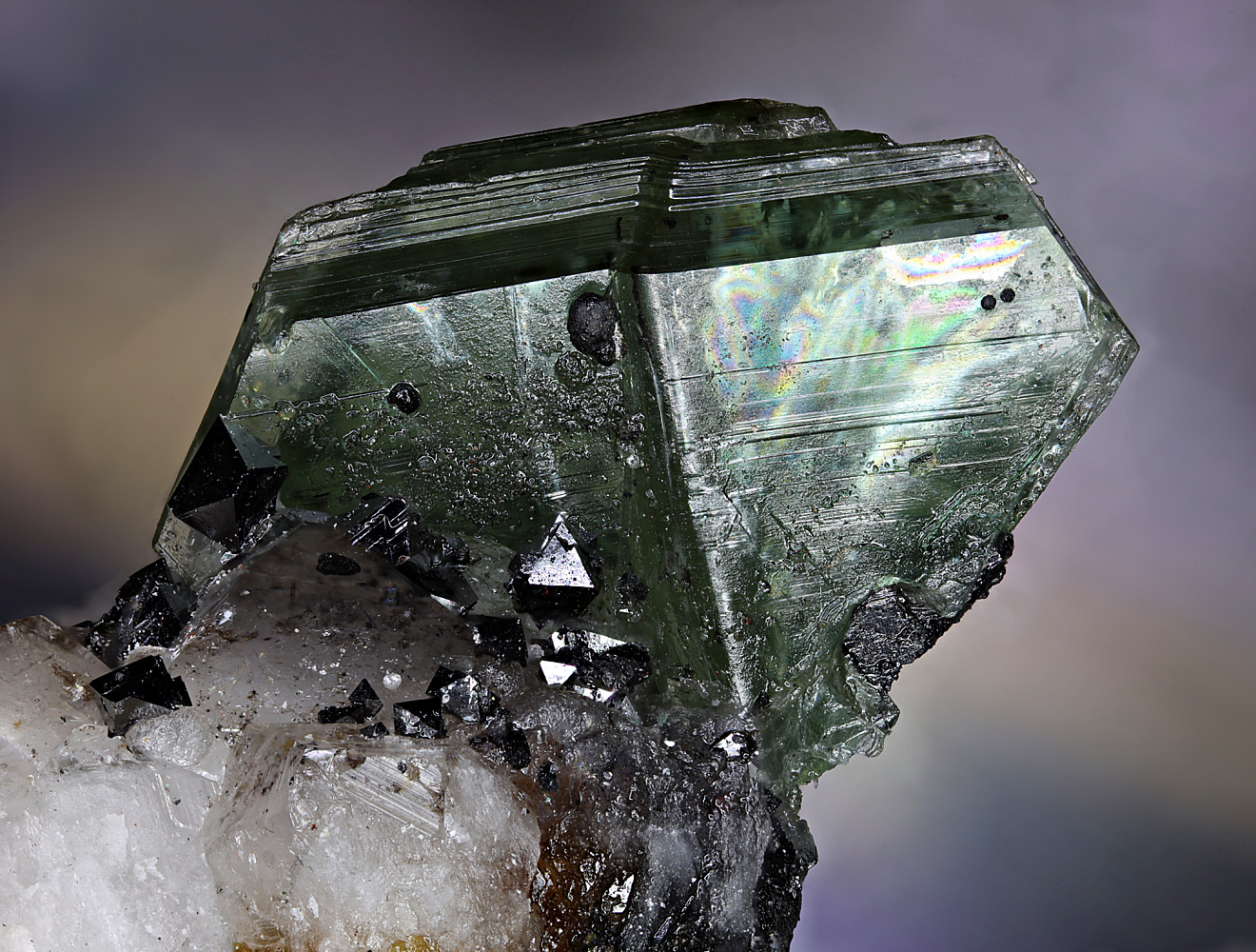 Photos : Phlogopite?