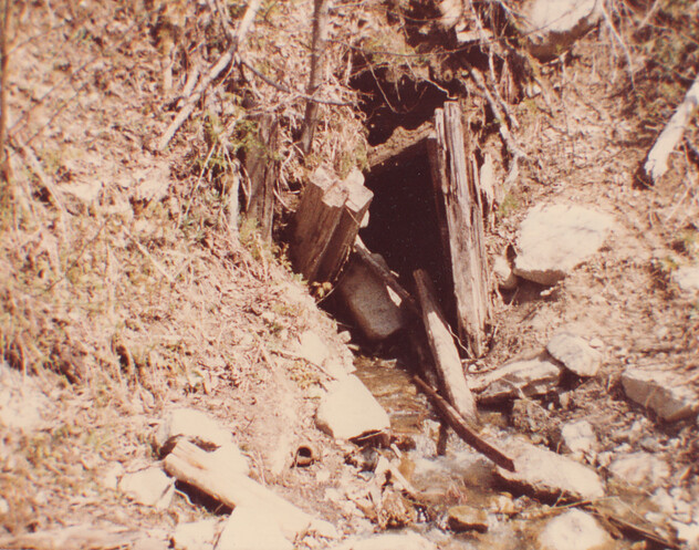 Sunset Mine, Trout Creek, Index Mining District, Snohomish County ...