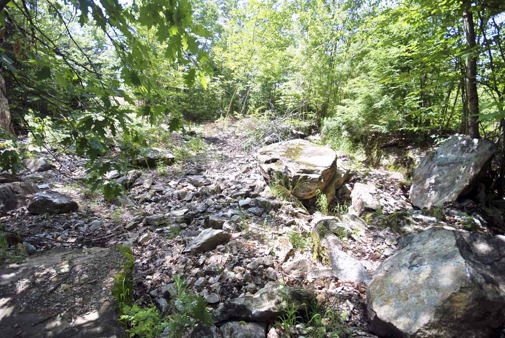 Copyright © Henry Minot