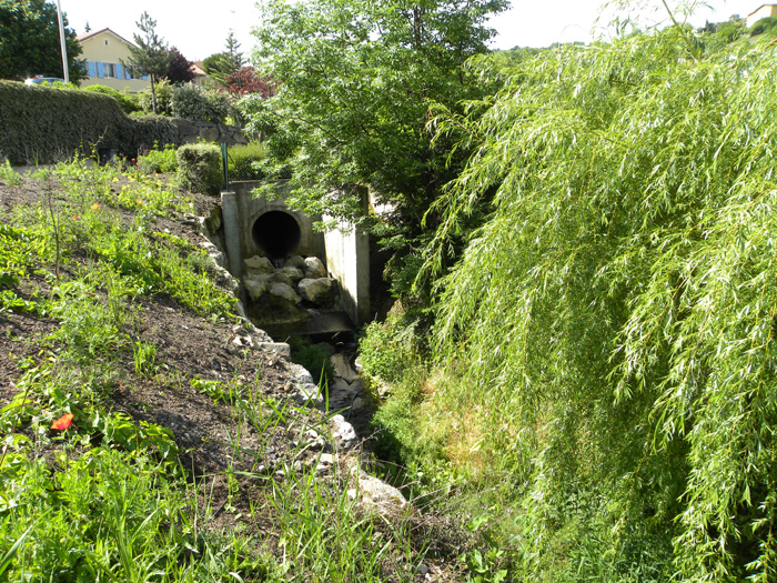 Copyright © François Périnet