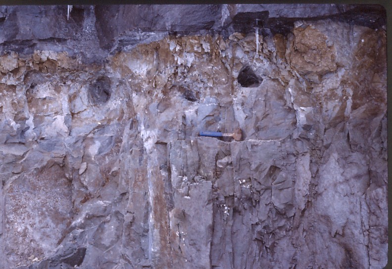 Copyright © Donald Doell