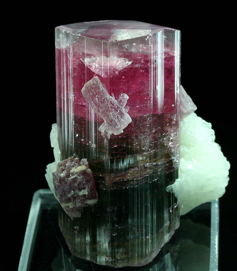 Elbaite, Lepidolite, Albite (Var: Cleavelandite) Himalaya Mine, Gem ...