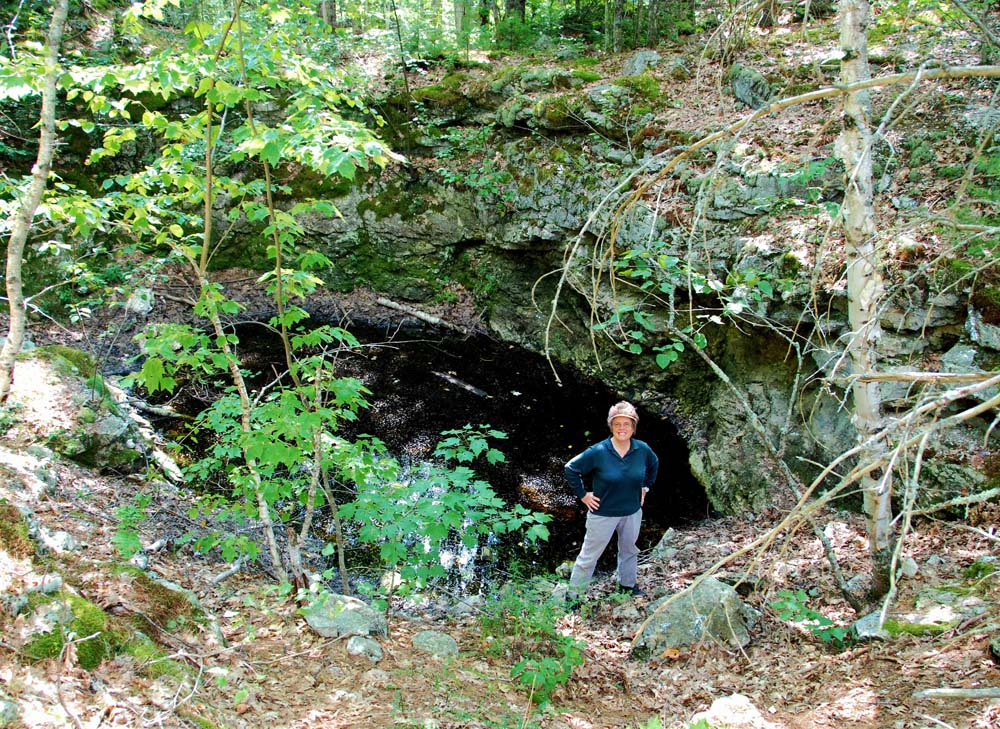 Copyright © Henry Minot